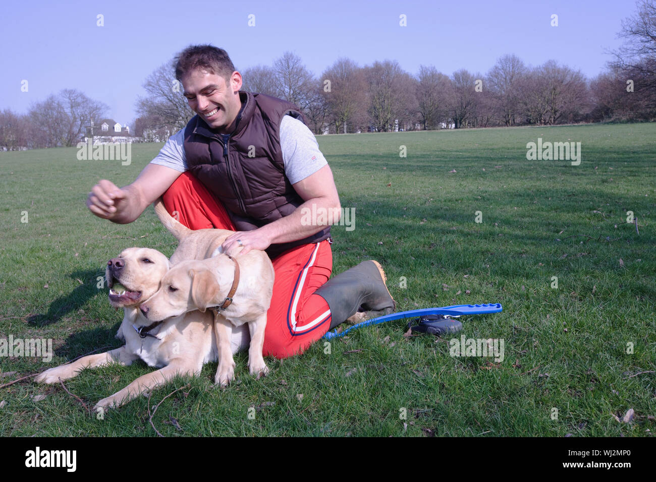 Happy middle aged man spending time with his pet dogs in park Stock ...