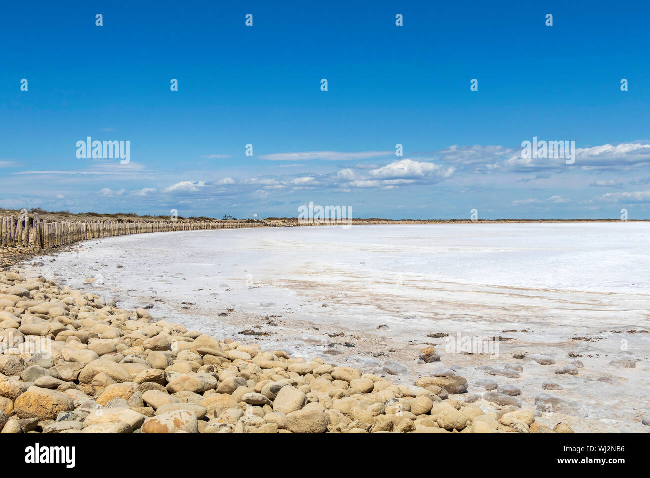 Camargue white salt flat lake, etang salt water lagoon surrounded by ...