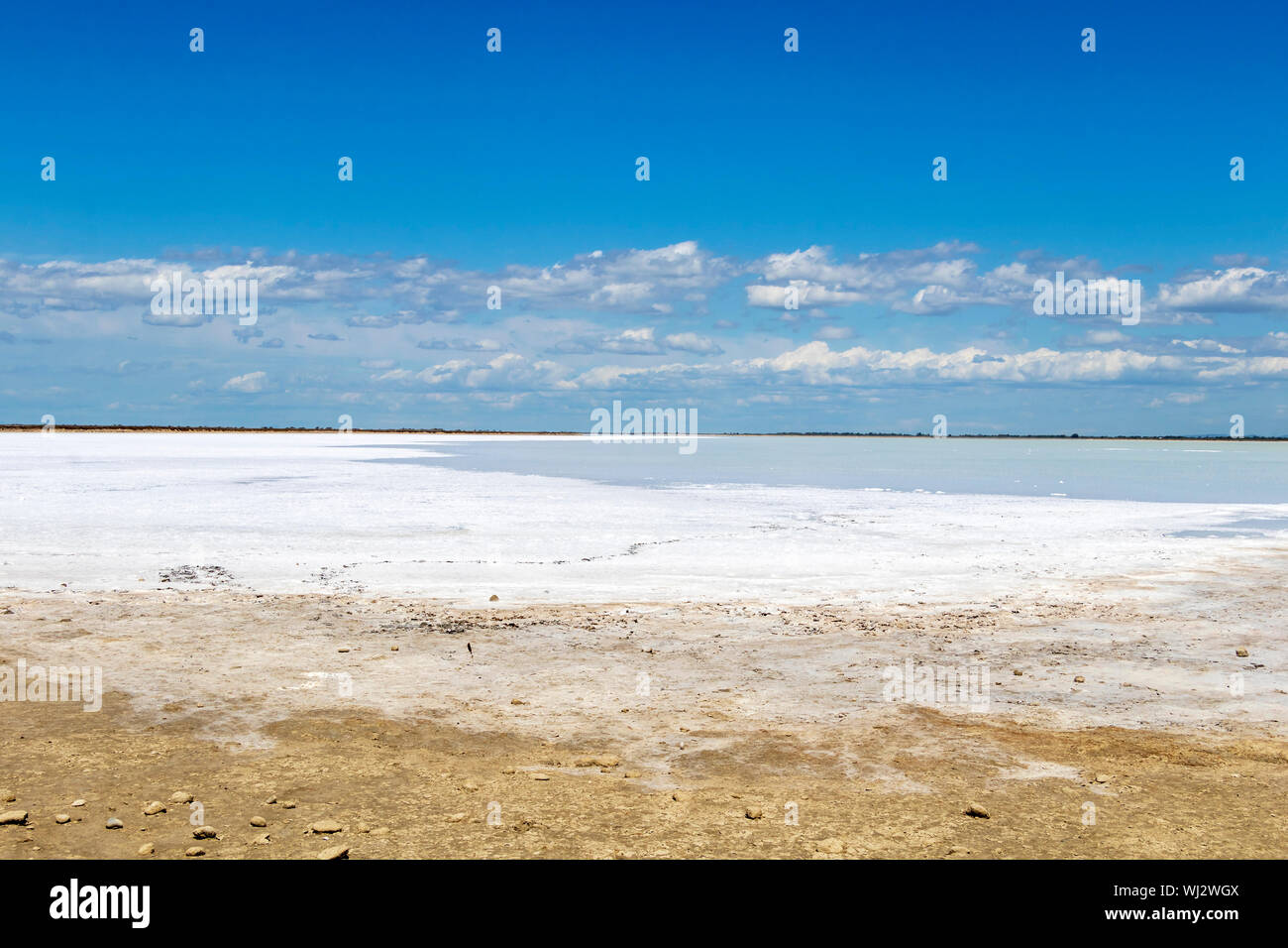Camargue white salt flat lake, etang salt water lagoon surrounded by ...