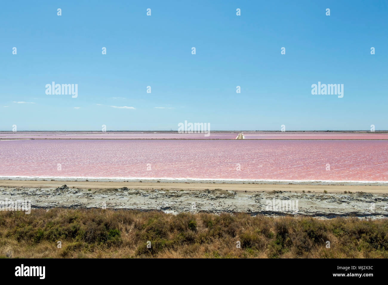The Salin-de-Giraud salt farm with pink purple salty sea water in man ...
