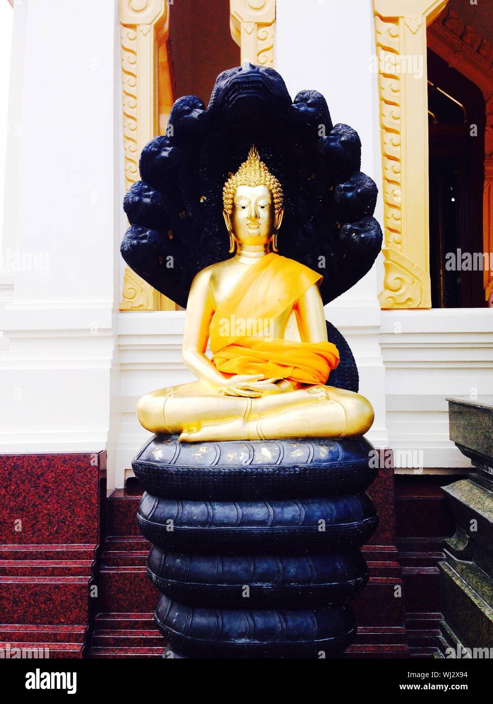 Temple snake hi-res stock photography and images - Alamy