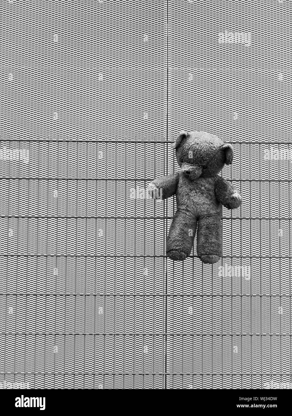 Bear fence hi-res stock photography and images - Alamy