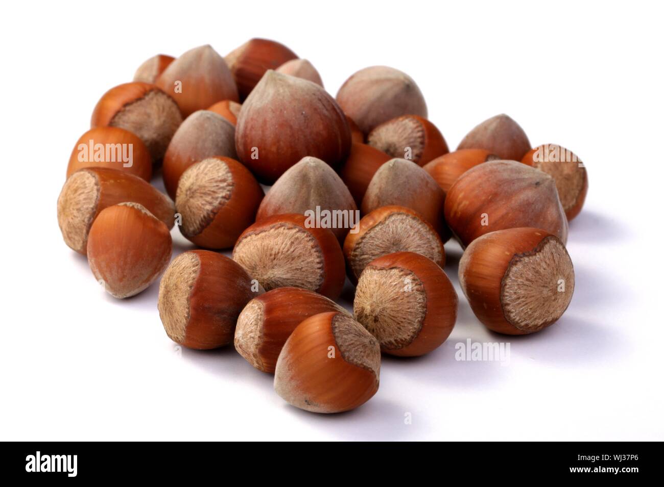 Wallpaper hazelnut Cut Out Stock Images & Pictures - Alamy