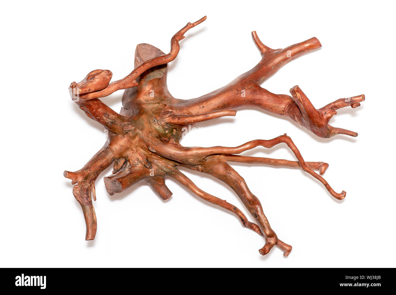 Dead tree sculpture Cut Out Stock Images & Pictures - Alamy