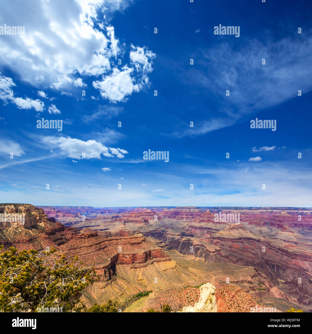Arizona Grand Canyon National Park Yavapai Point USA Stock Photo - Alamy