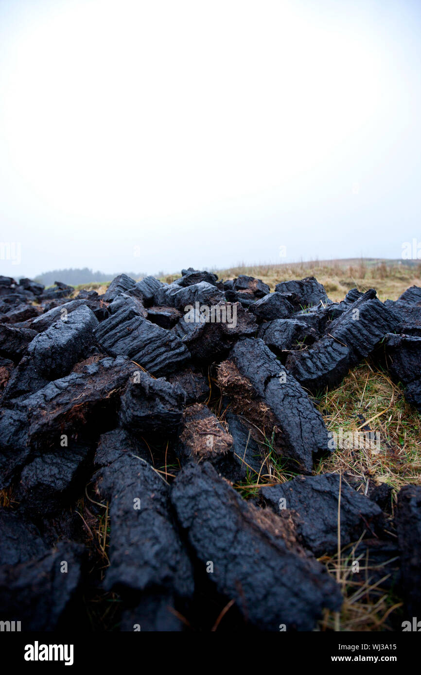 Close-up view of peat cuttings Stock Photo - Alamy