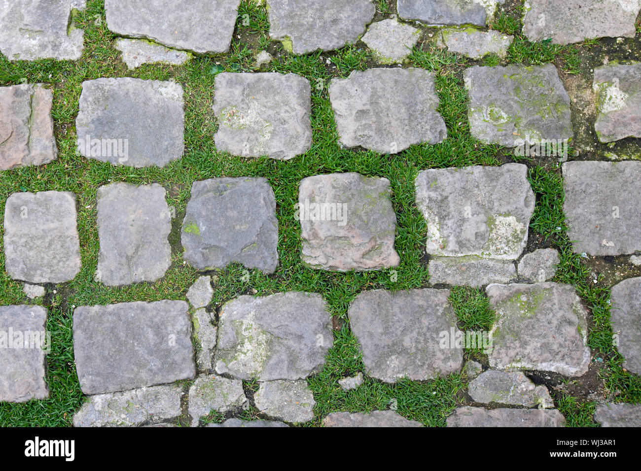 Close-up view of Stone Path with grass growing through Stock Photo - Alamy