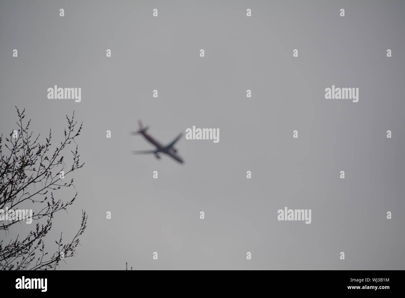 Plant is flying hi-res stock photography and images - Alamy