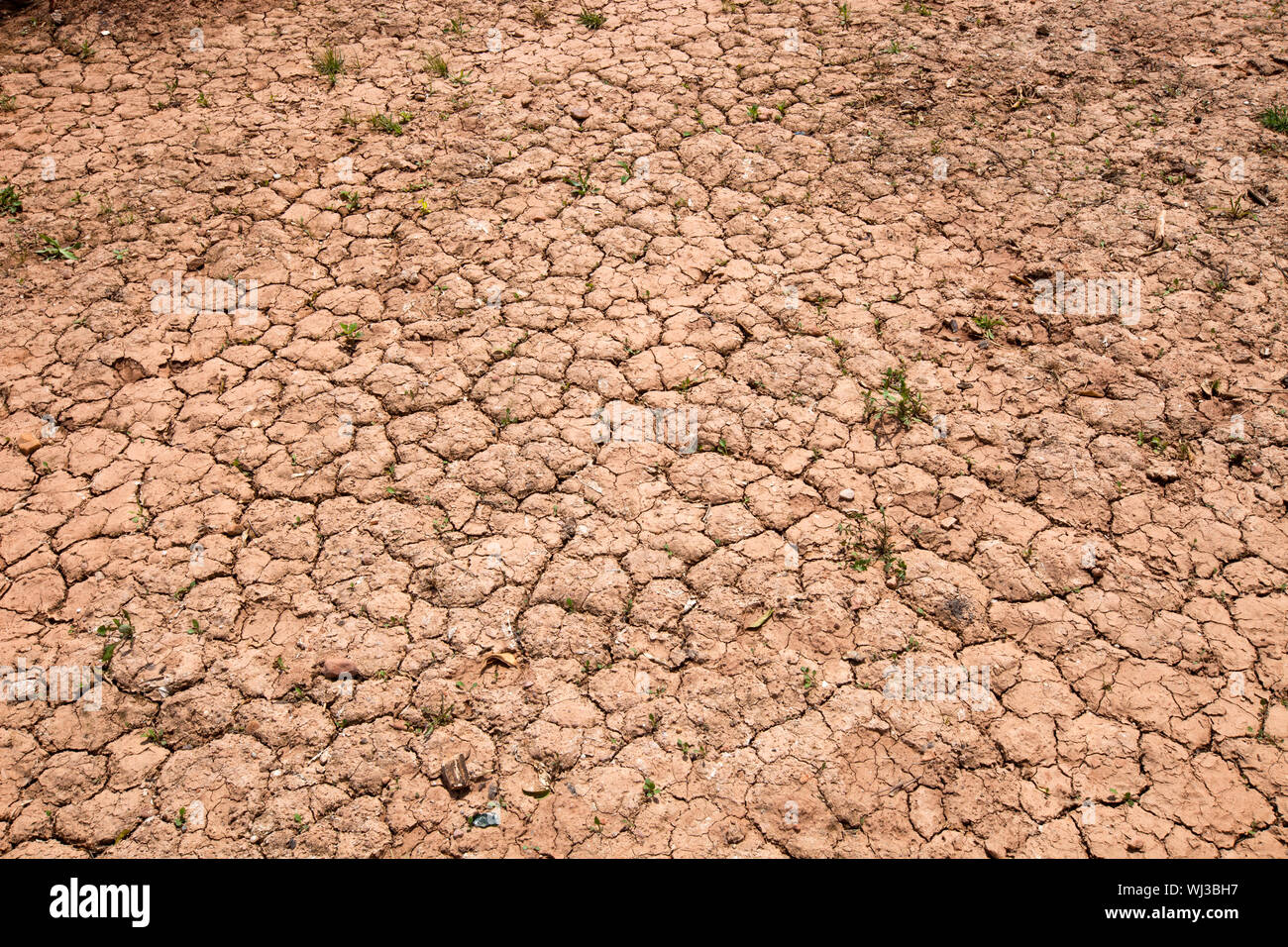 Dry cracked red soil Stock Photo - Alamy