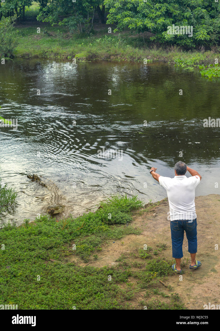 Fishing on a crocodile in Latin America Stock Photo - Alamy