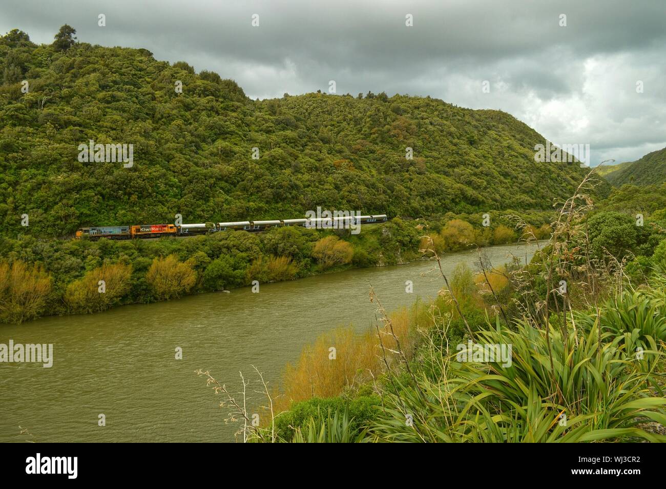 Train tree hi-res stock photography and images - Alamy