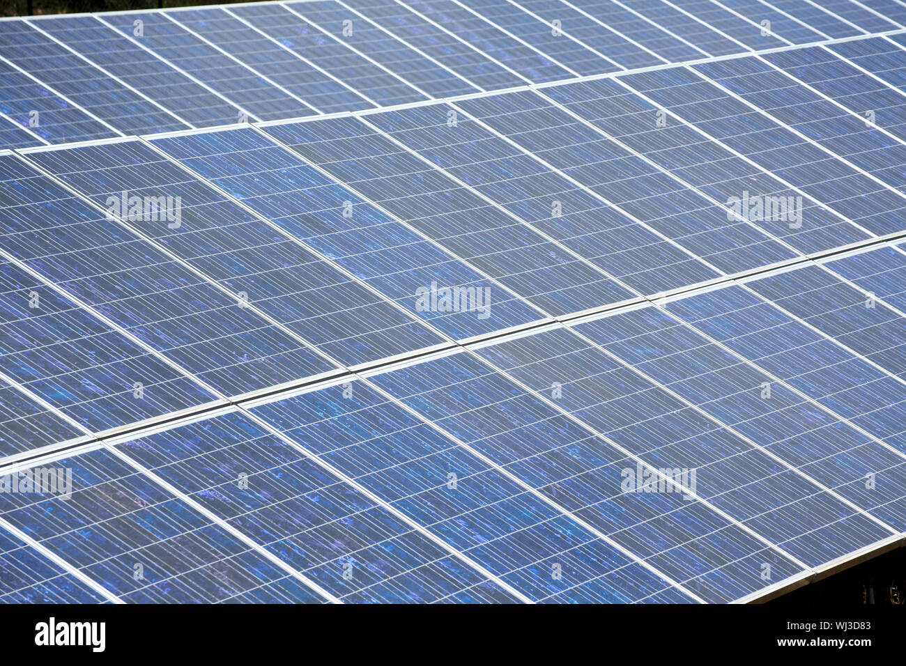 Solar plates for green sun energy in a row Stock Photo - Alamy