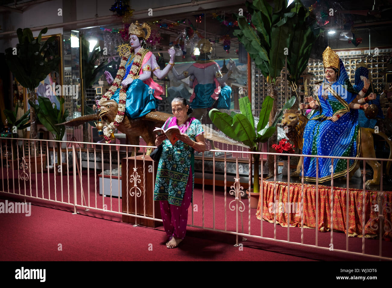 A devout Hindu woman reading a prayer book in front of statues of Durga ...