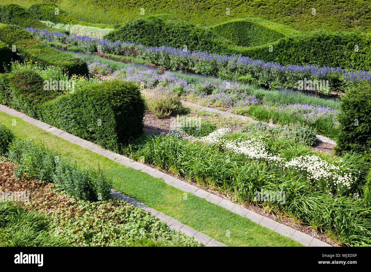 Rows of beautifully designed hedges Stock Photo - Alamy