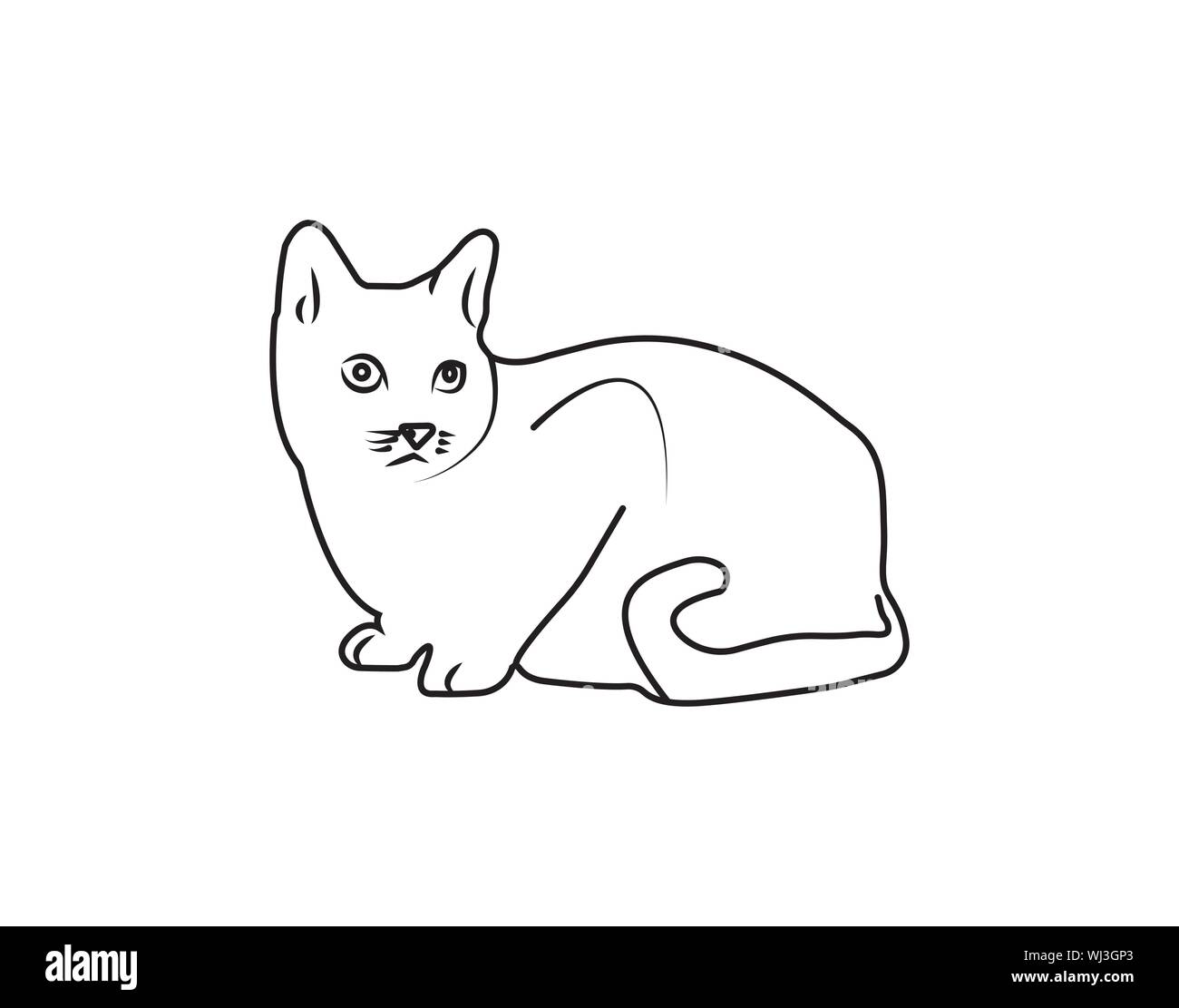 Animal cat domestic animal pet Cut Out Stock Images & Pictures - Alamy