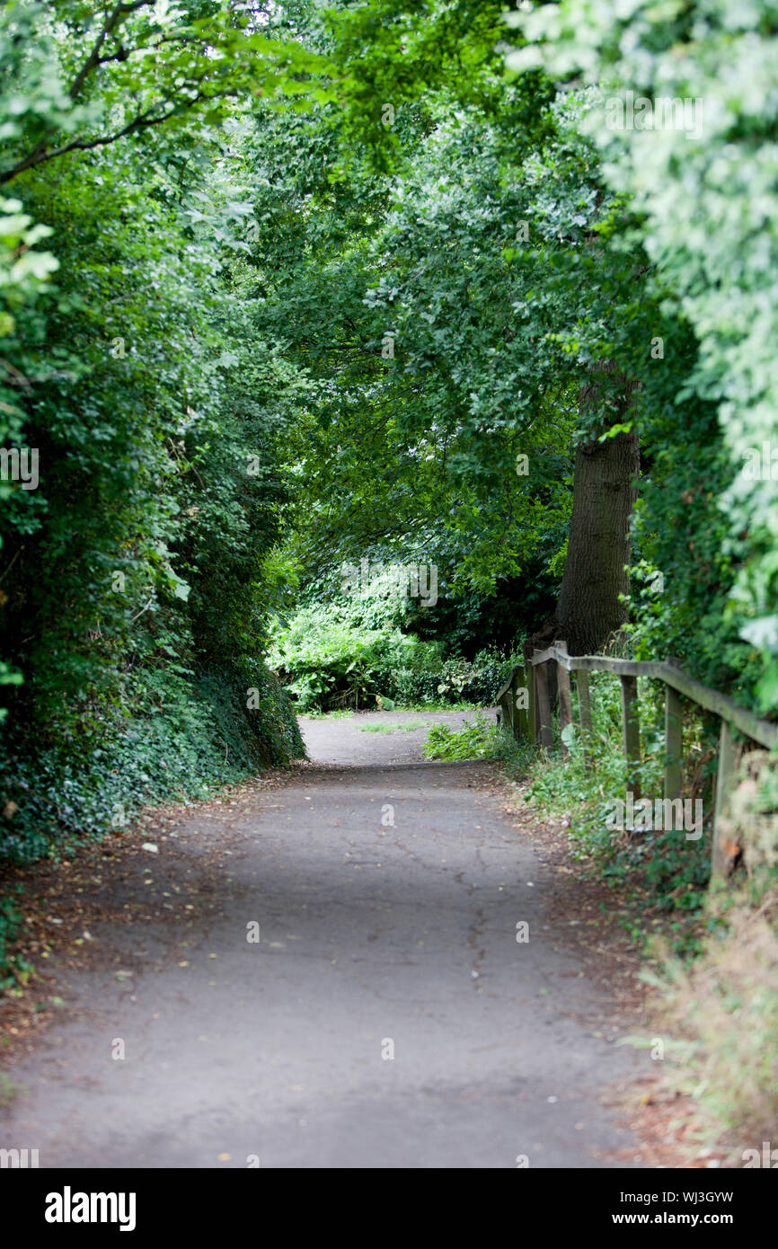 Country Lane in British Countryside Stock Photo - Alamy