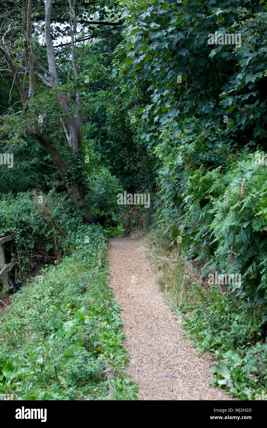 Country Lane in British Countryside Stock Photo - Alamy