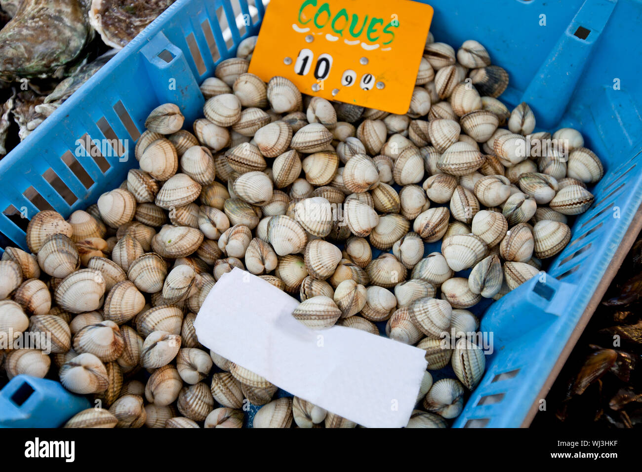 Close-up of shellfish in container at store Stock Photo - Alamy