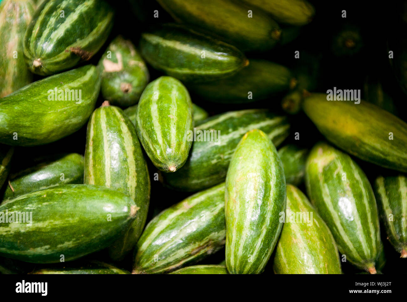 Close-up of fresh cucumbers in grocery store Stock Photo - Alamy