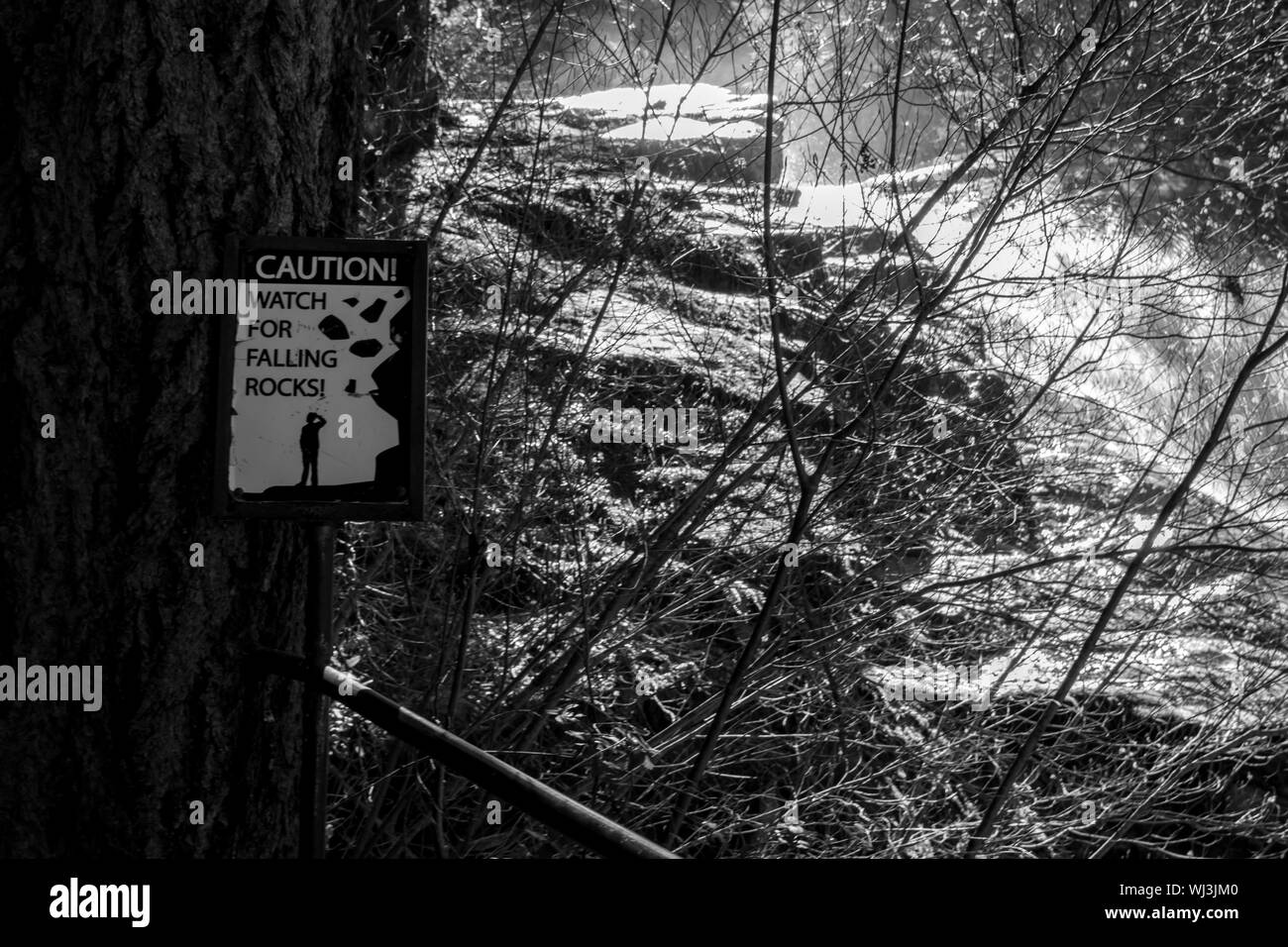 Warning Bark High Resolution Stock Photography and Images - Alamy