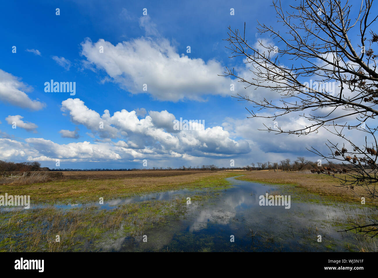 Rural landscapes, early spring. Korolevka village, Novomoskovsk ...
