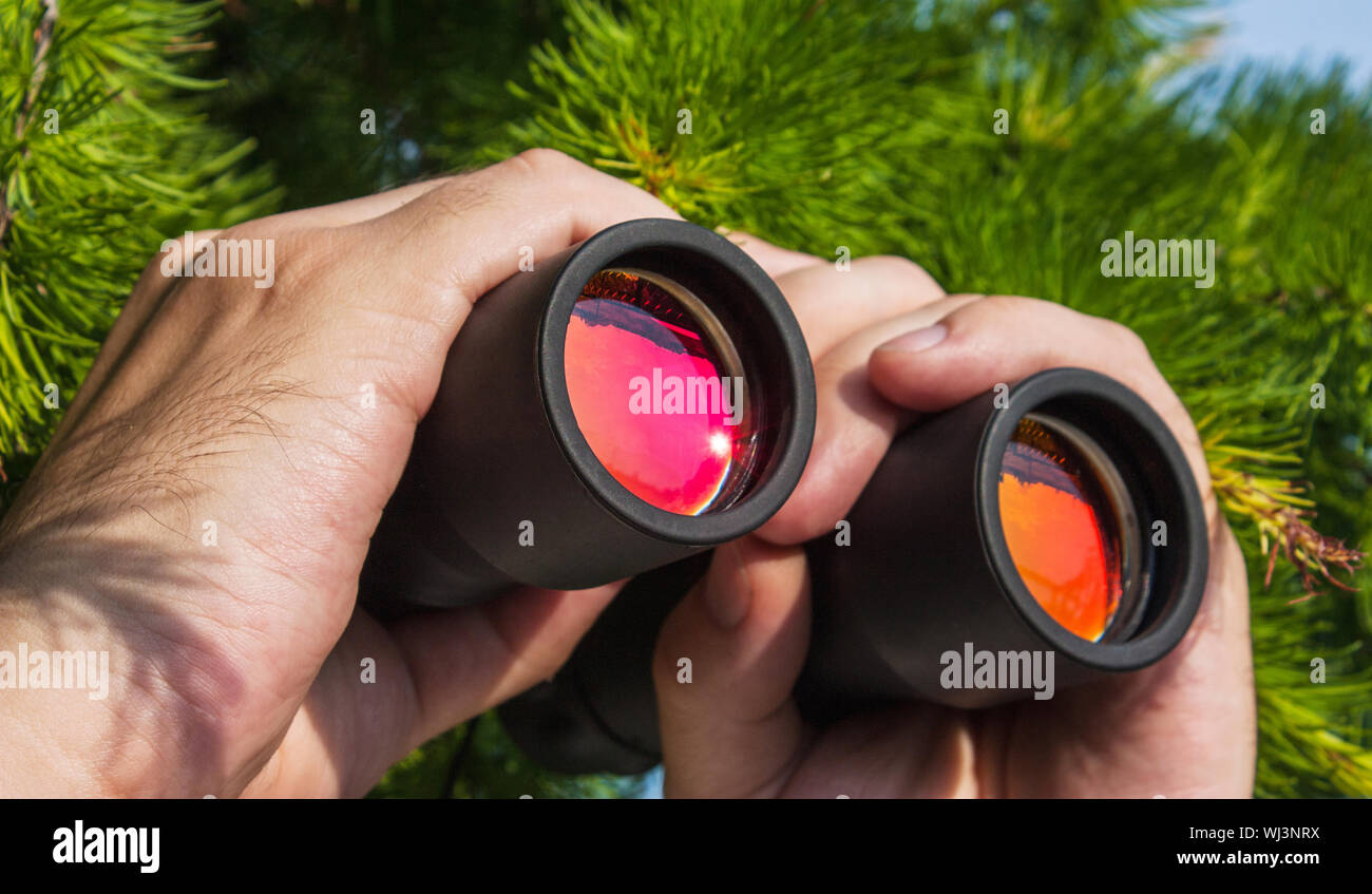 watching from the bushes with binoculars Stock Photo - Alamy