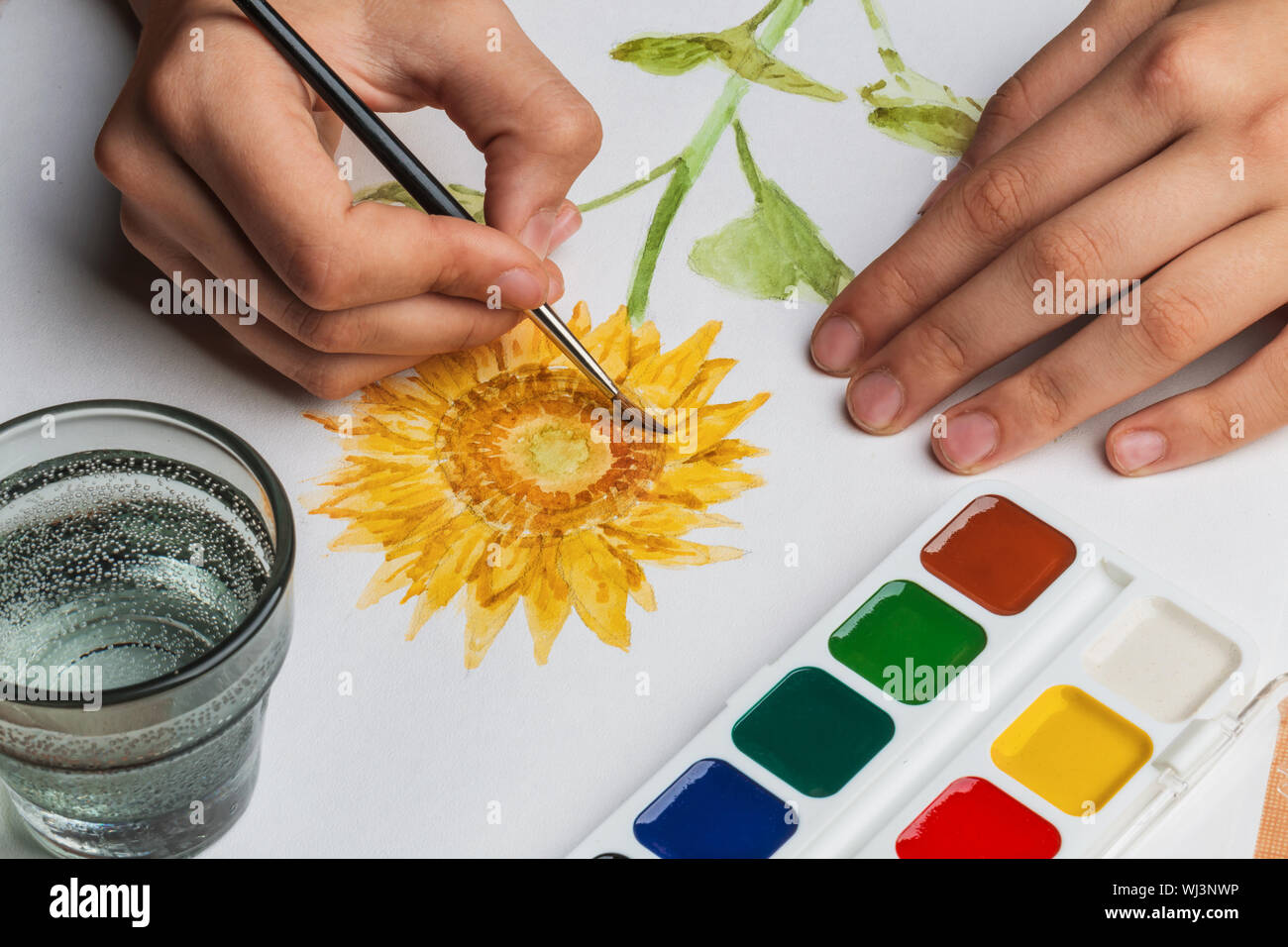 Watercolor animation hi-res stock photography and images - Alamy