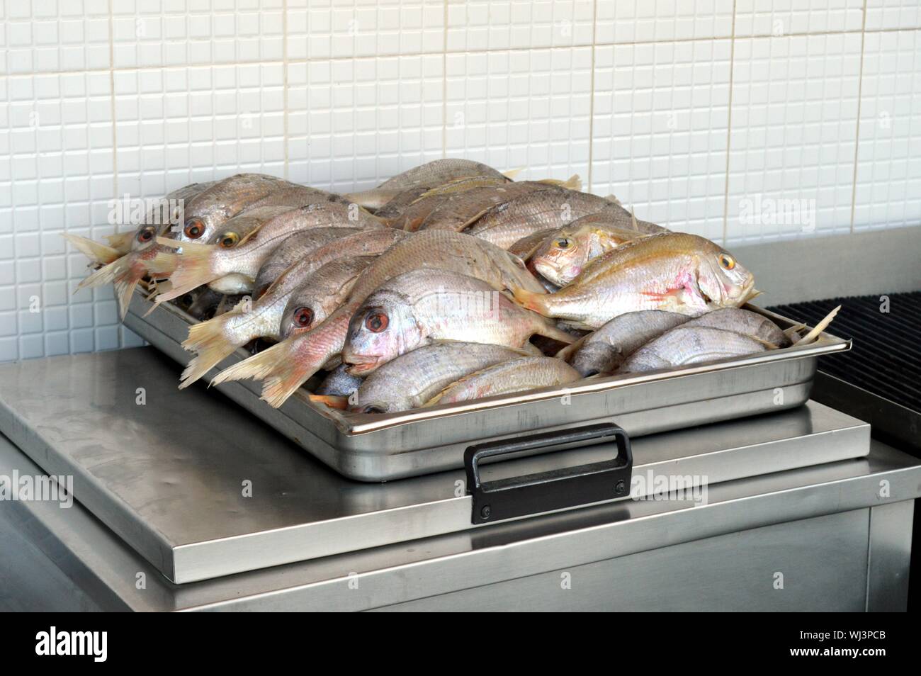 White tiled wall, fish hi-res stock photography and images - Alamy