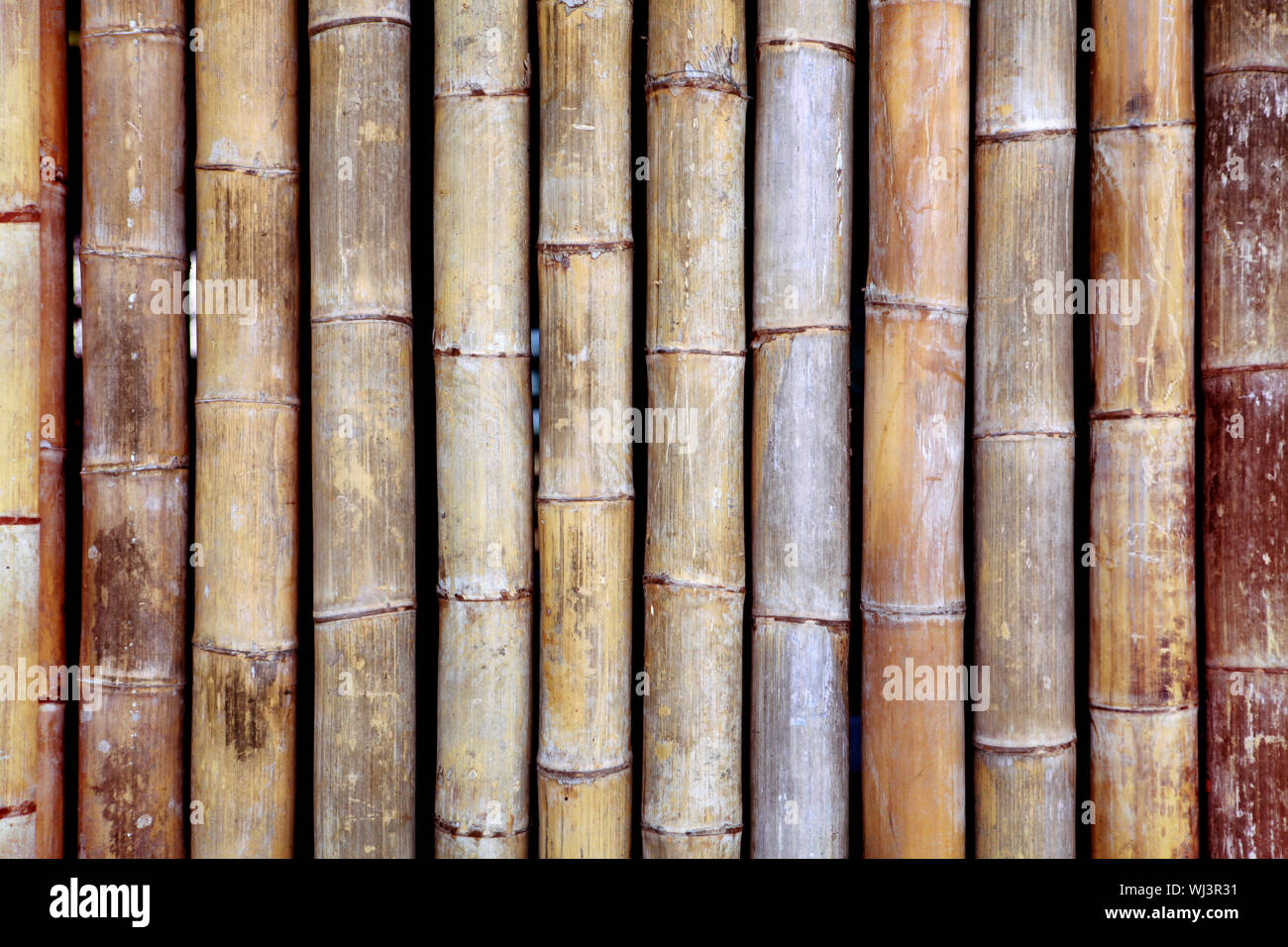 background from old bamboo sticks, wood texture Stock Photo - Alamy