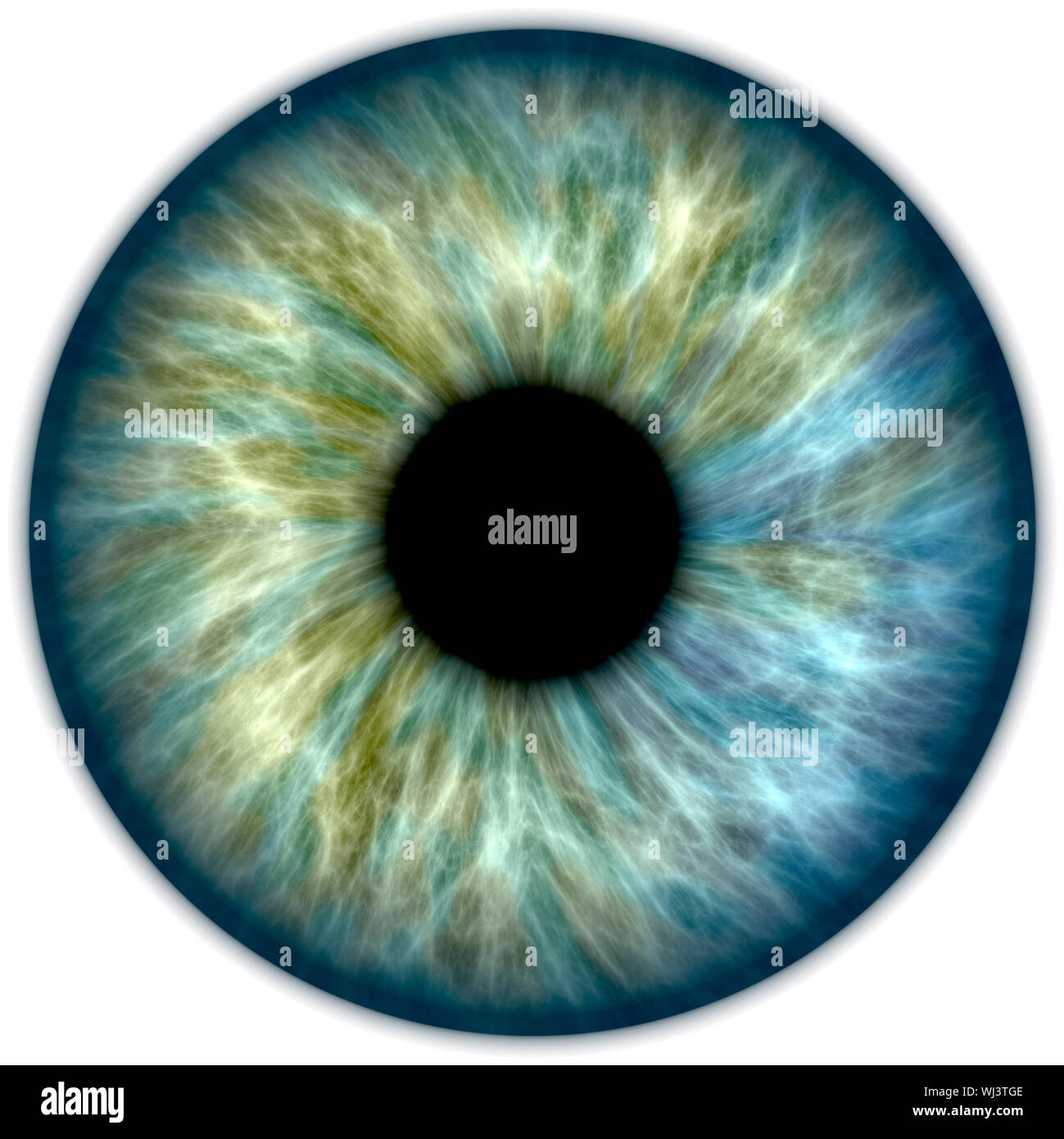 Illustration of a blue and green human iris Stock Photo - Alamy