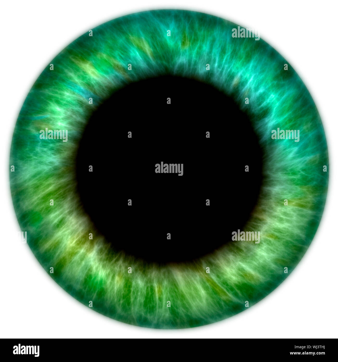 Illustration of a green human iris Stock Photo - Alamy