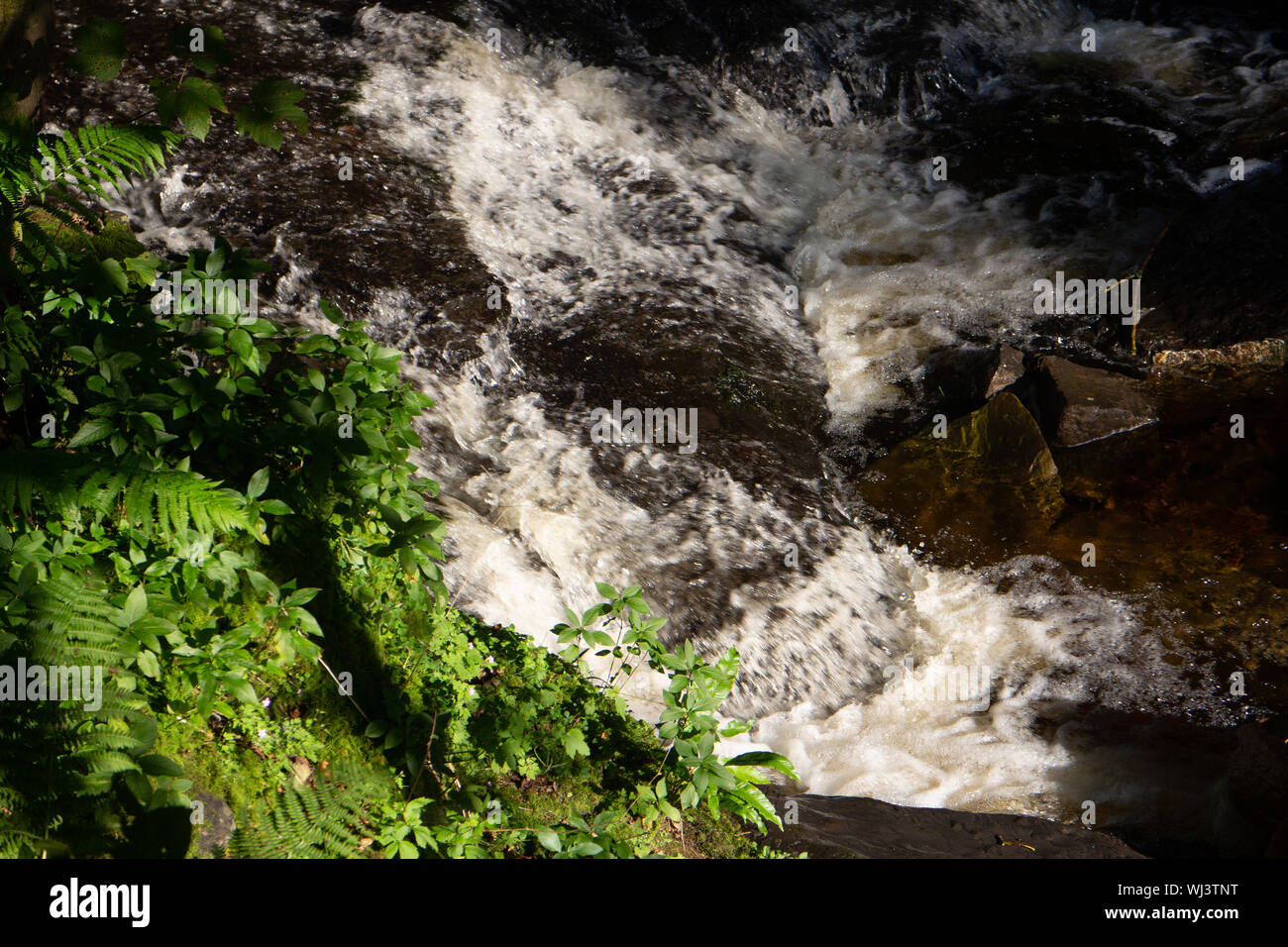 Down a stream hi-res stock photography and images - Alamy