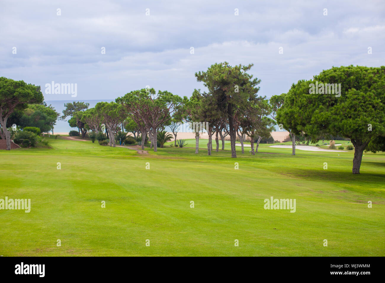 Landscape of golf field Stock Photo - Alamy