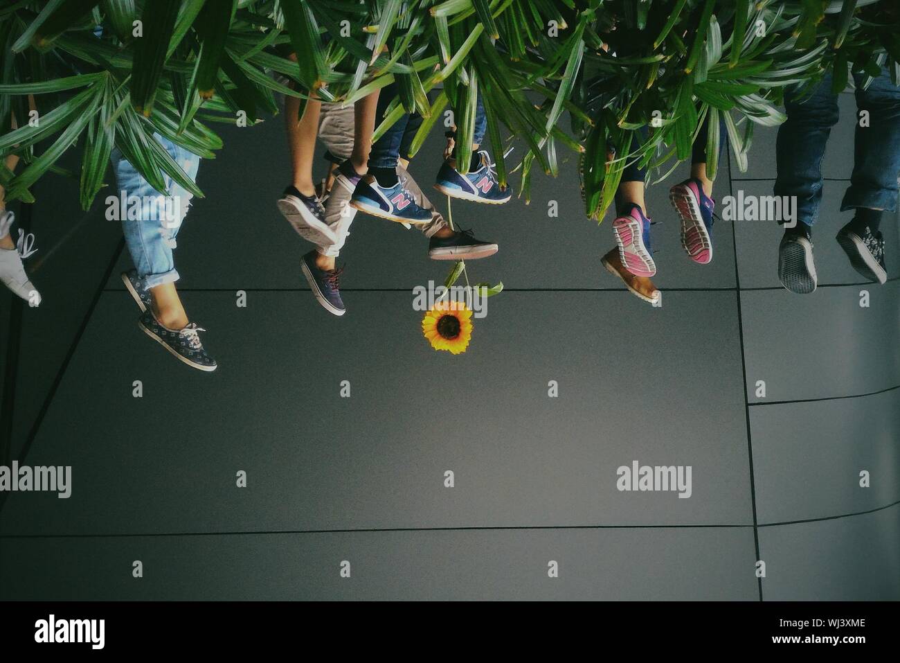 Group human feet hi-res stock photography and images - Alamy