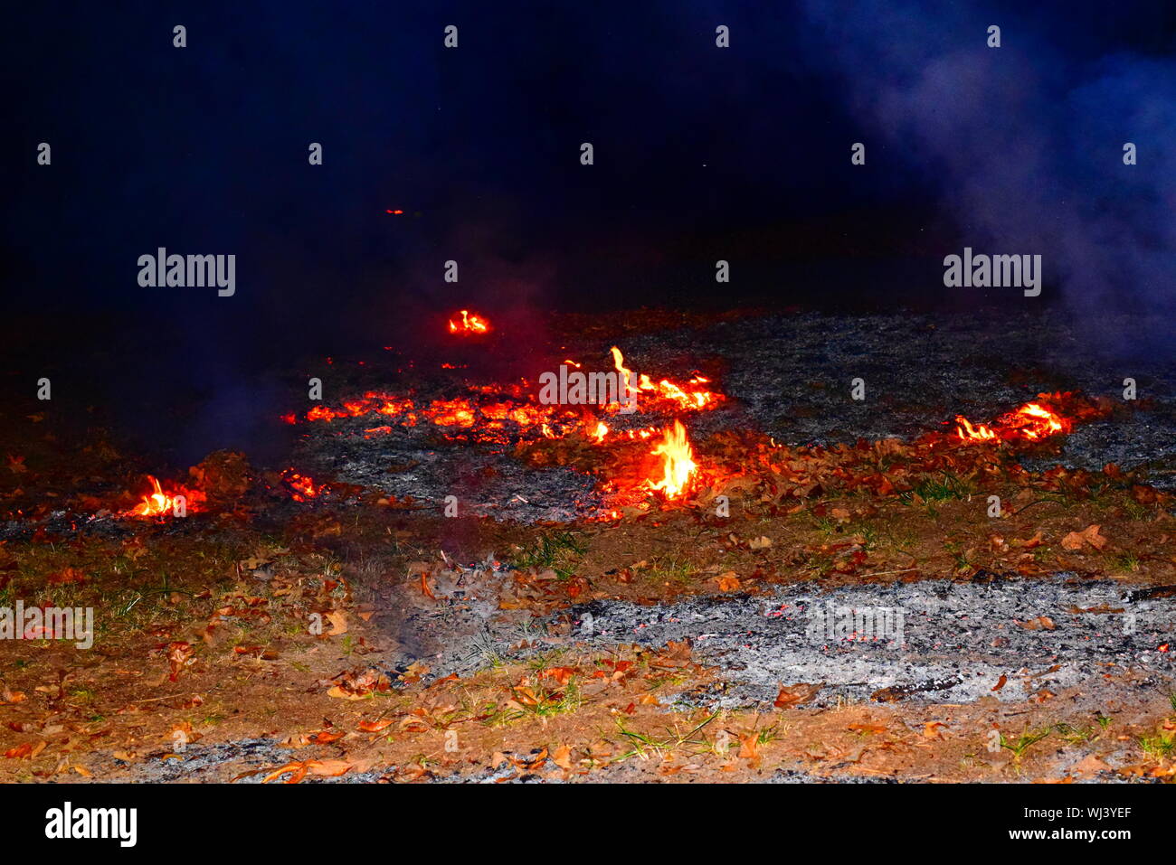 Long grass field night hi-res stock photography and images - Alamy
