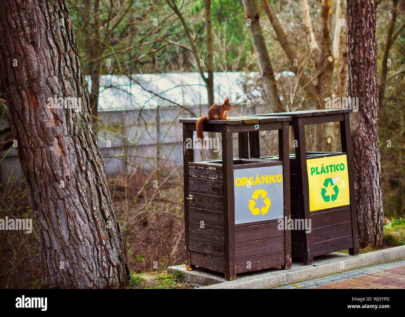 Recycling bin top hi-res stock photography and images - Alamy