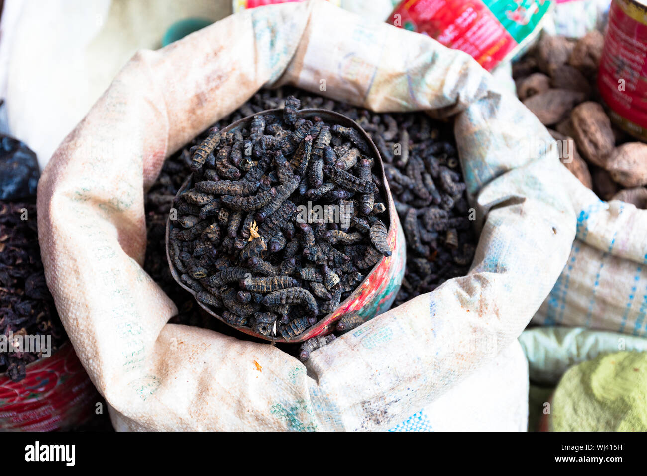 Market in worms hi-res stock photography and images - Alamy