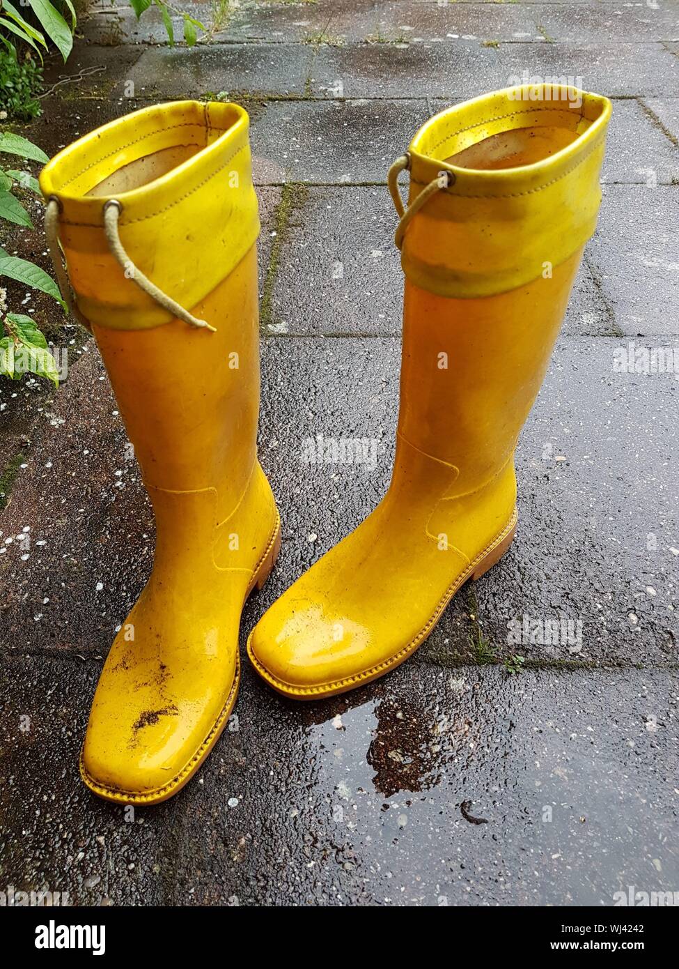 Yellow rain boots hi-res stock photography and images - Alamy