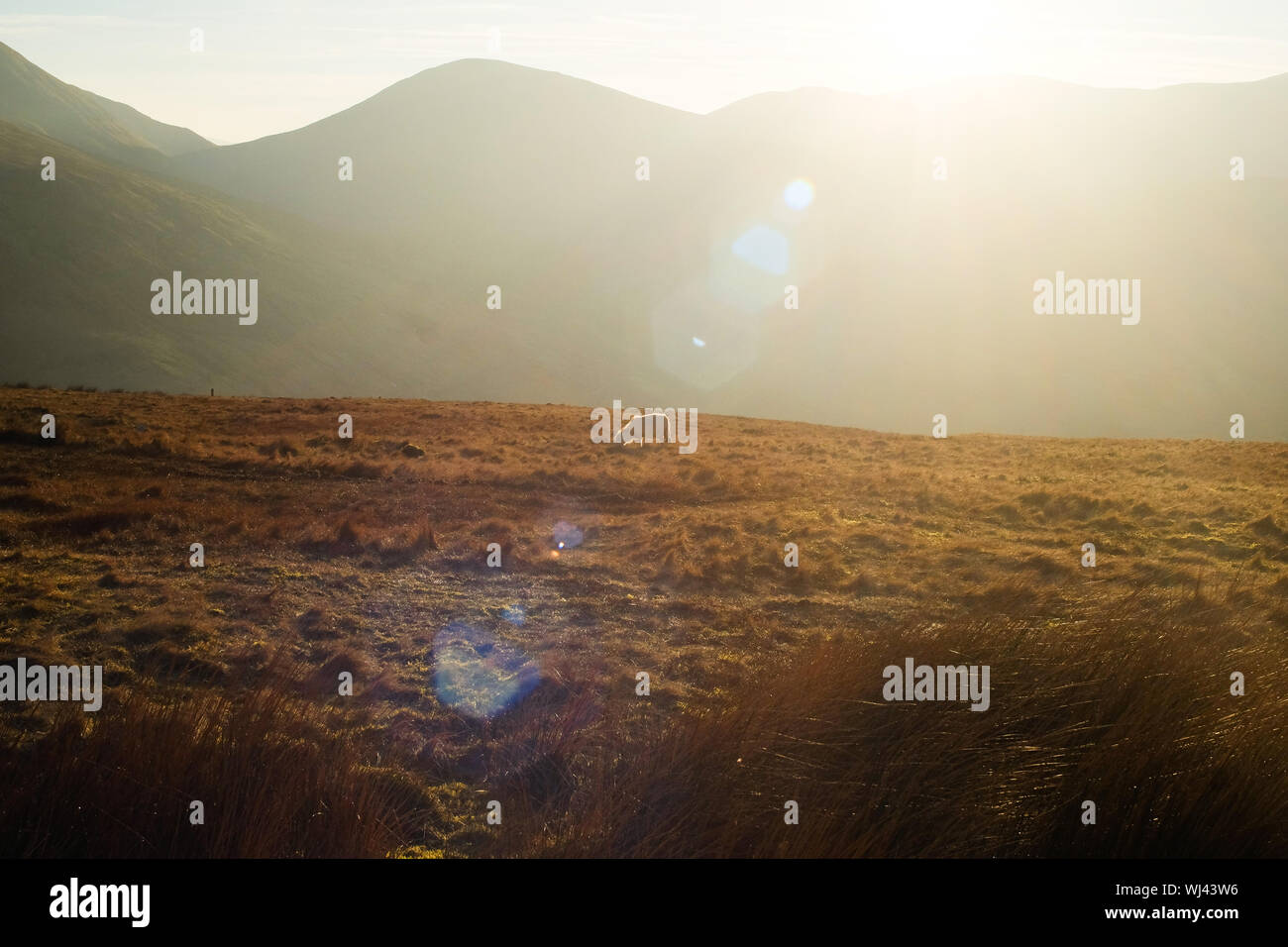 Beaming sun hi-res stock photography and images - Alamy