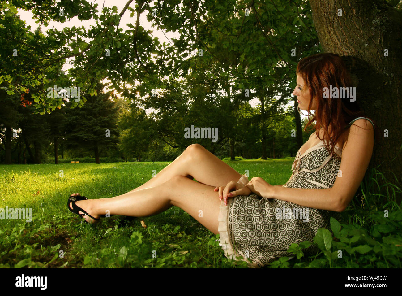 young beautiful Woman sitting under the tree in forest Stock Photo - Alamy