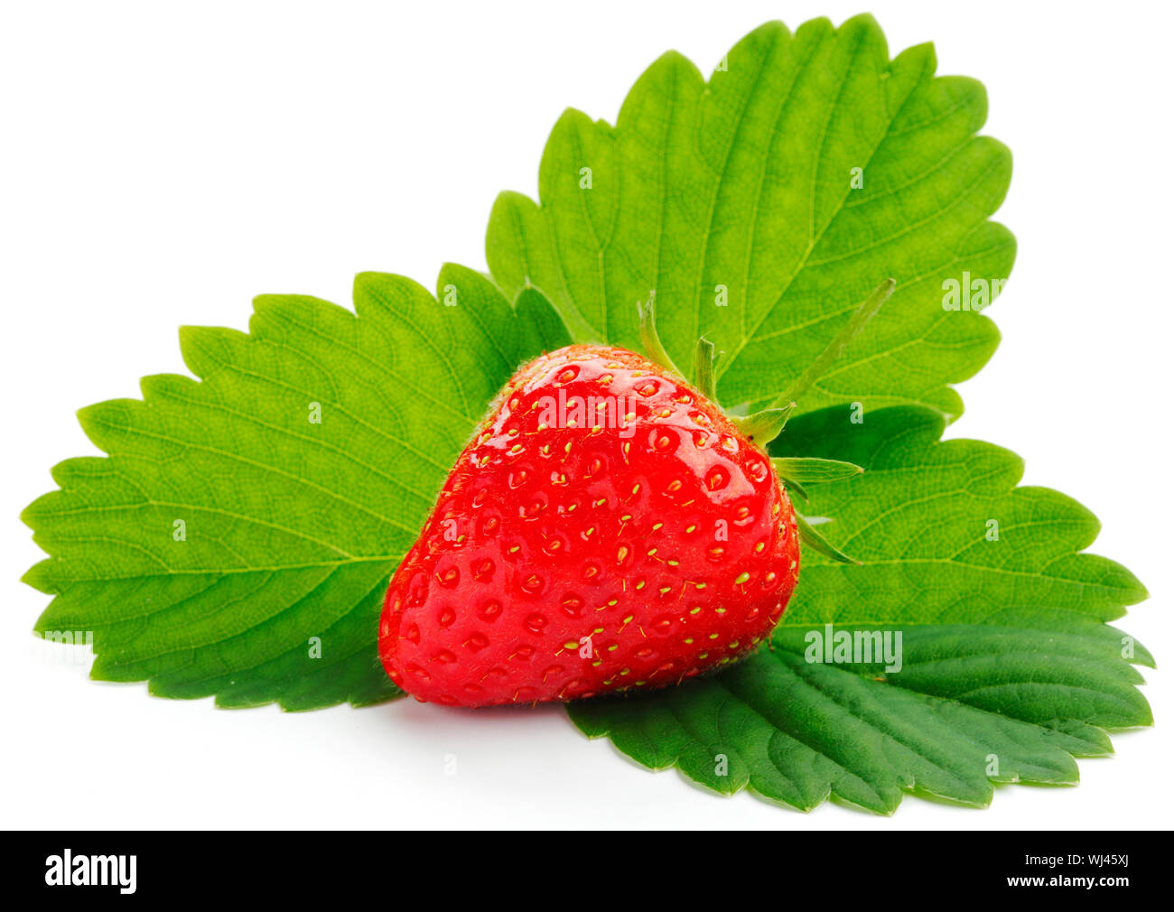 One strawberry with leaves isolated on white background Stock Photo - Alamy