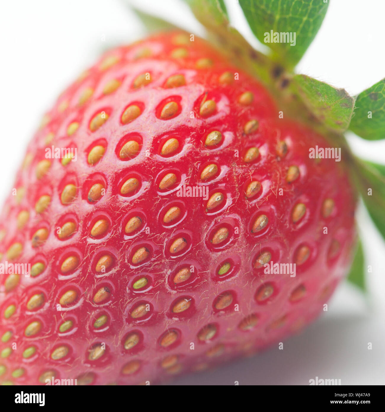 Beautiful ripe strawberry isolated on white Stock Photo - Alamy