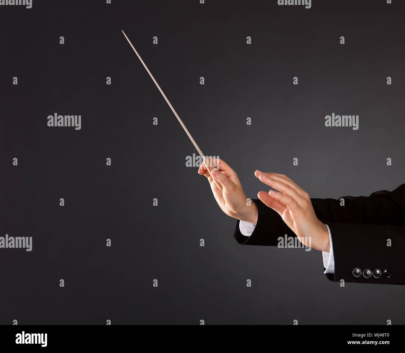 Closeup of the hands of a music conductor with a baton against a dark ...