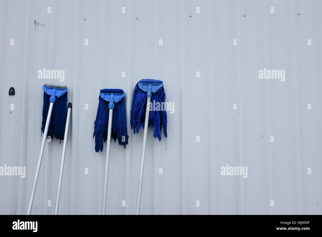 Three mops hi-res stock photography and images - Alamy