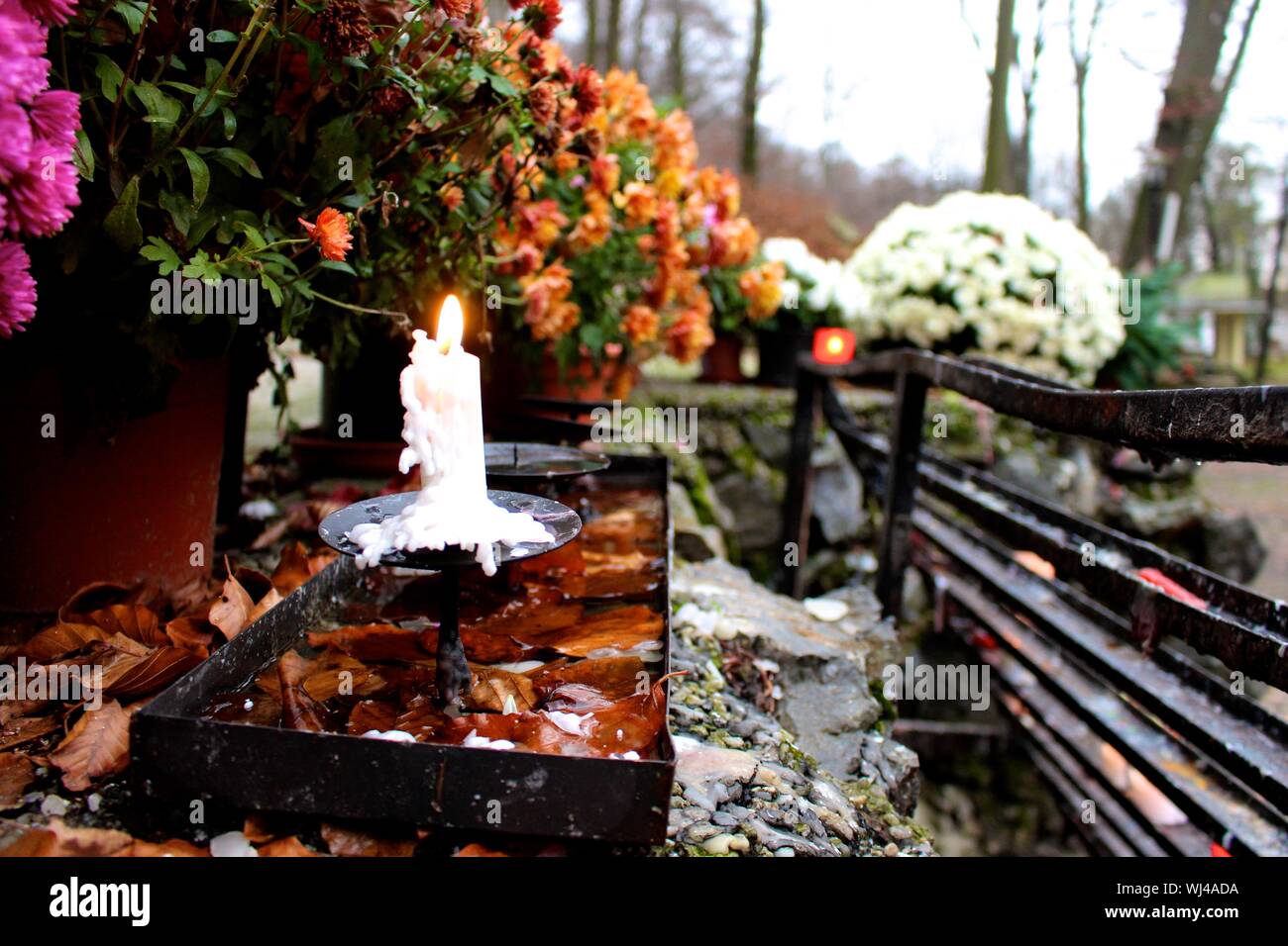 Candle flower burning hi-res stock photography and images - Alamy
