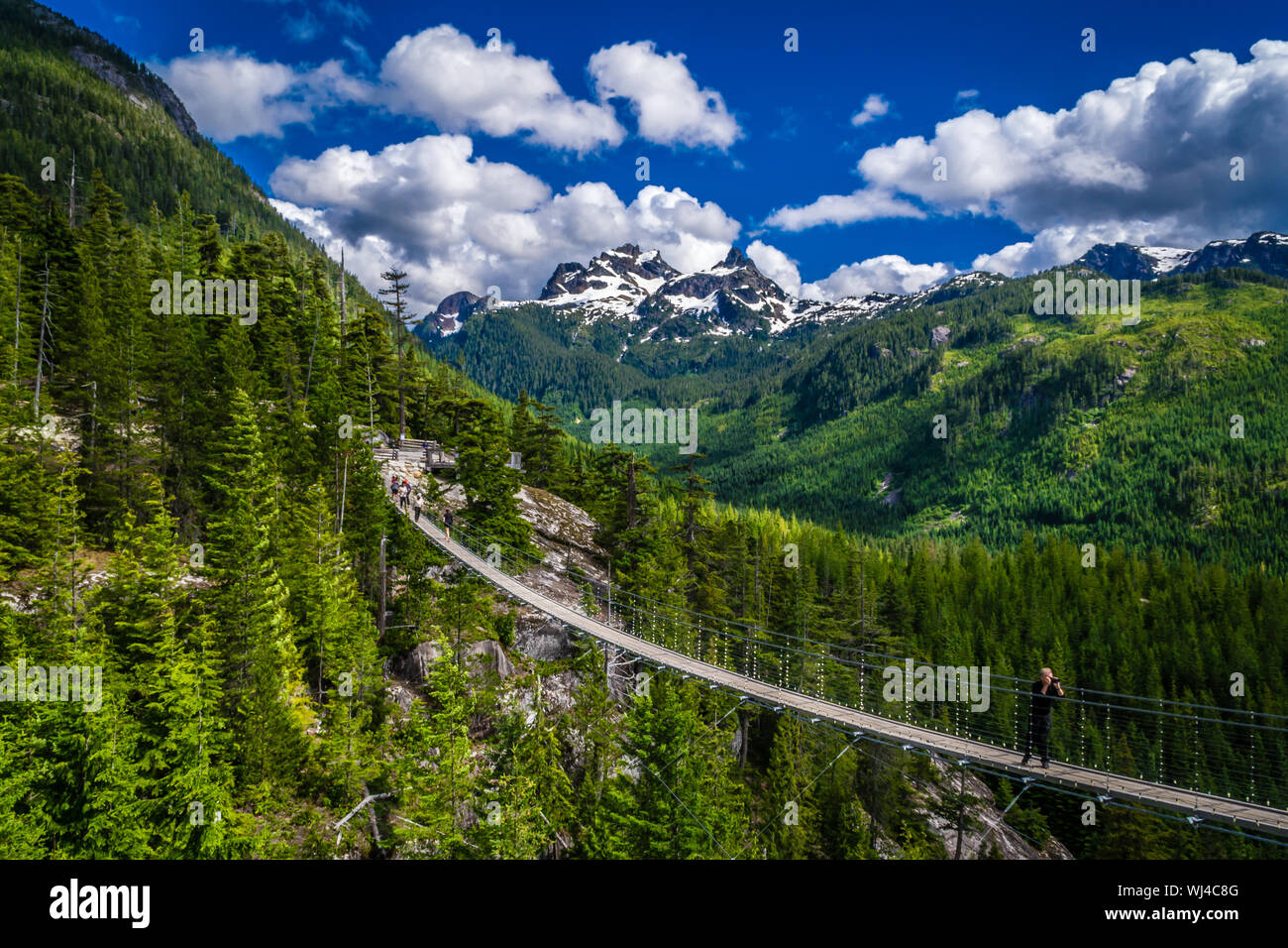 The Sky Pilot Suspension Bridge High Resolution Stock Photography and ...