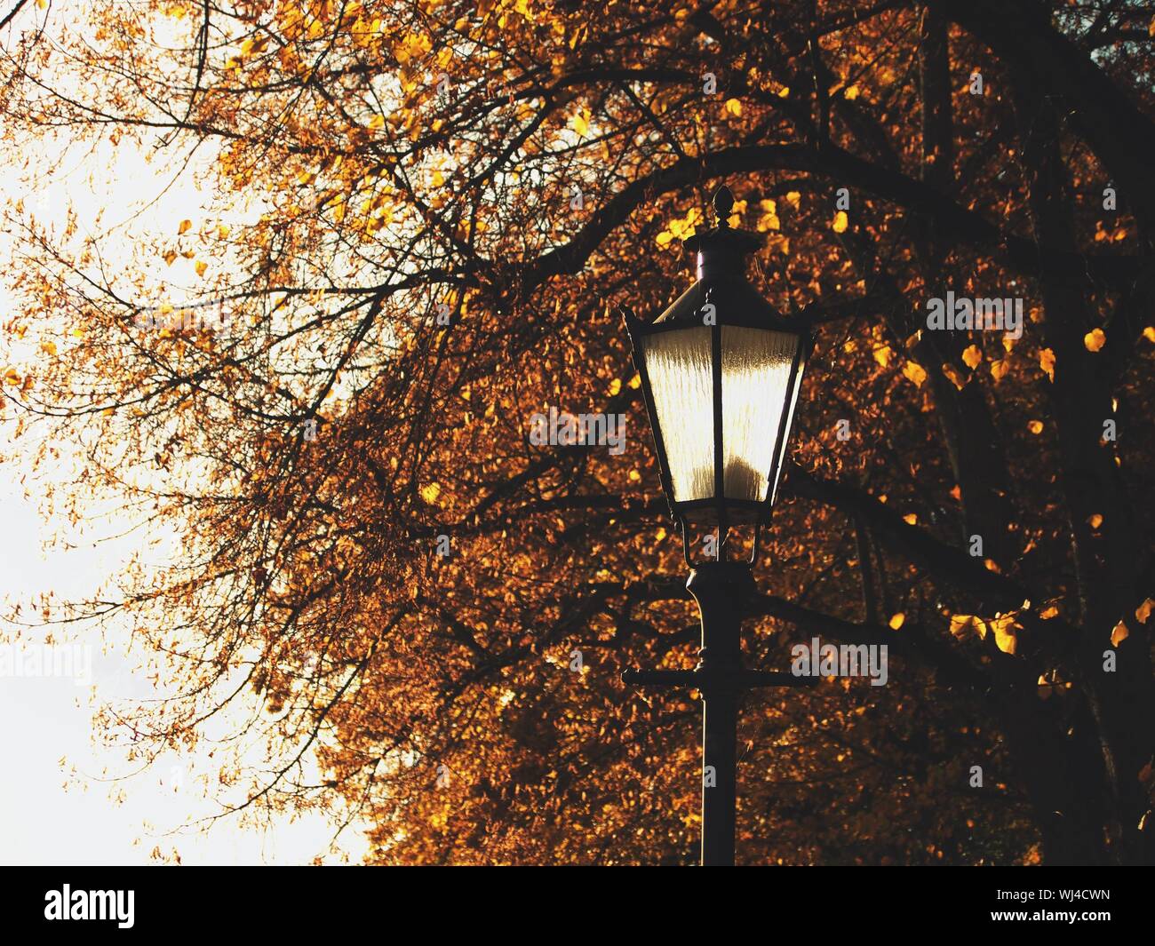 Autumn low light hi-res stock photography and images - Alamy