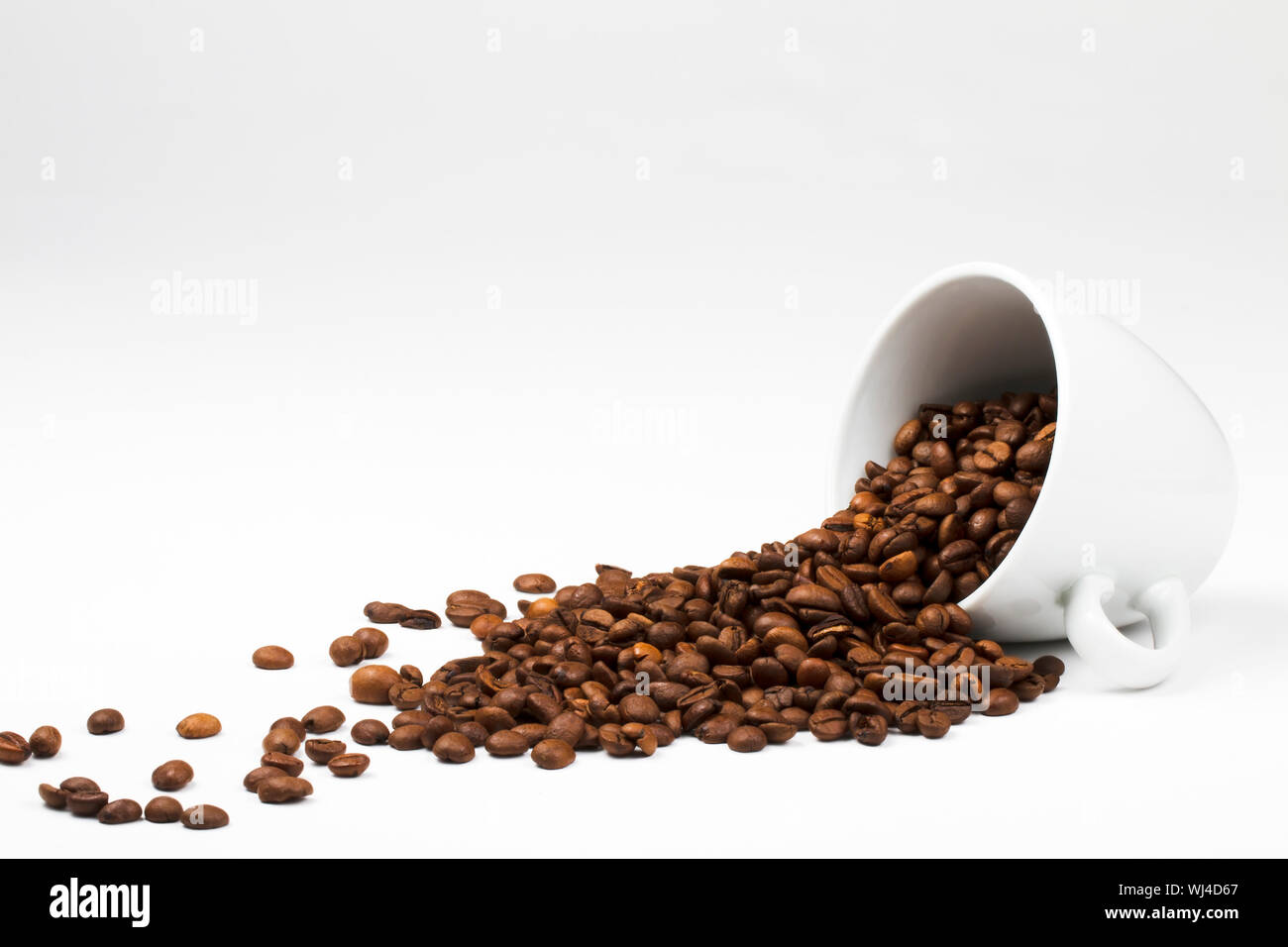 Coffee Bean White Background