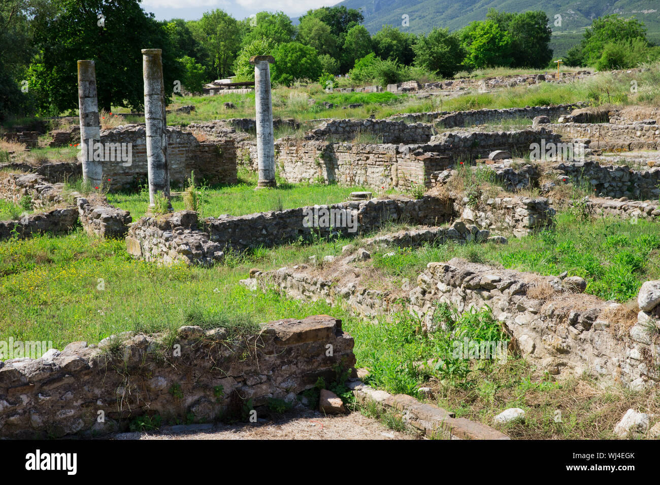 Ancient ruins in Dion, Greece Stock Photo - Alamy