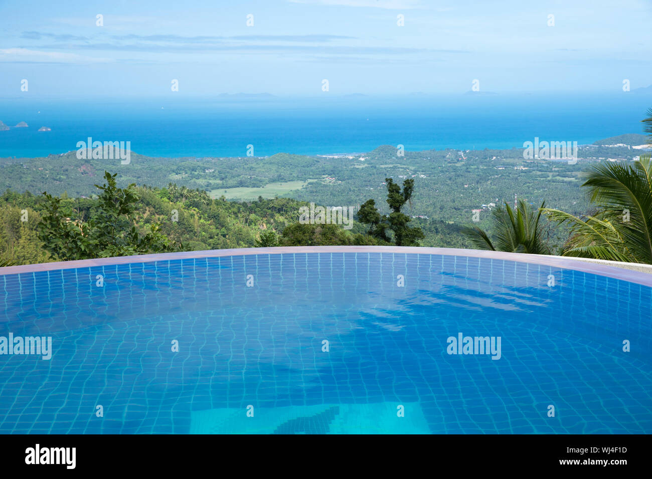tropical swimming pool with coconut tree Stock Photo - Alamy